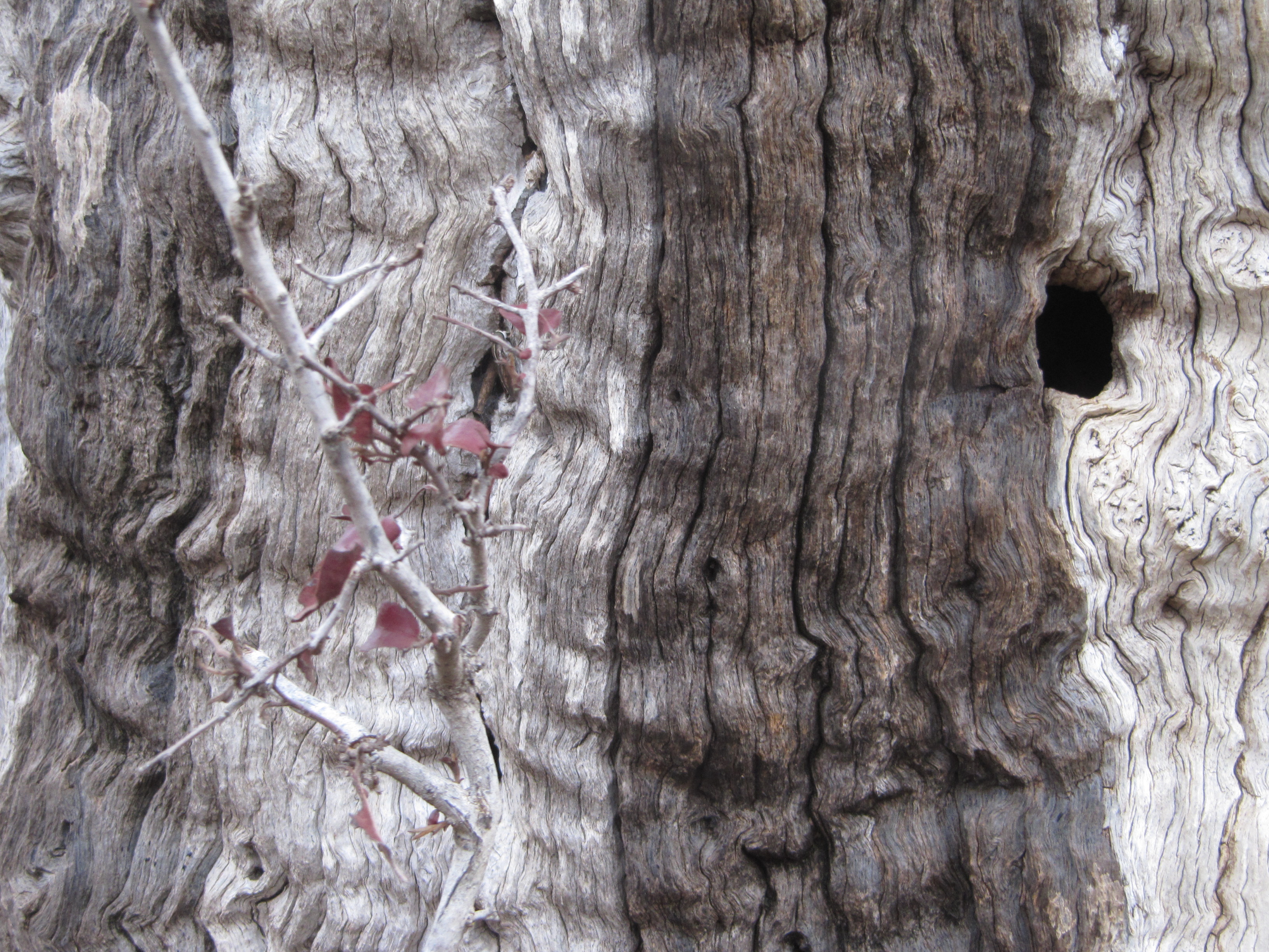 Research Team – Gender Identities and Transformation in Biodiversity ...